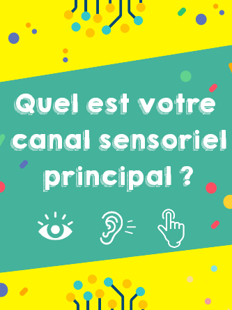 VAKOG.NET : Identifiez votre canal sensoriel principal